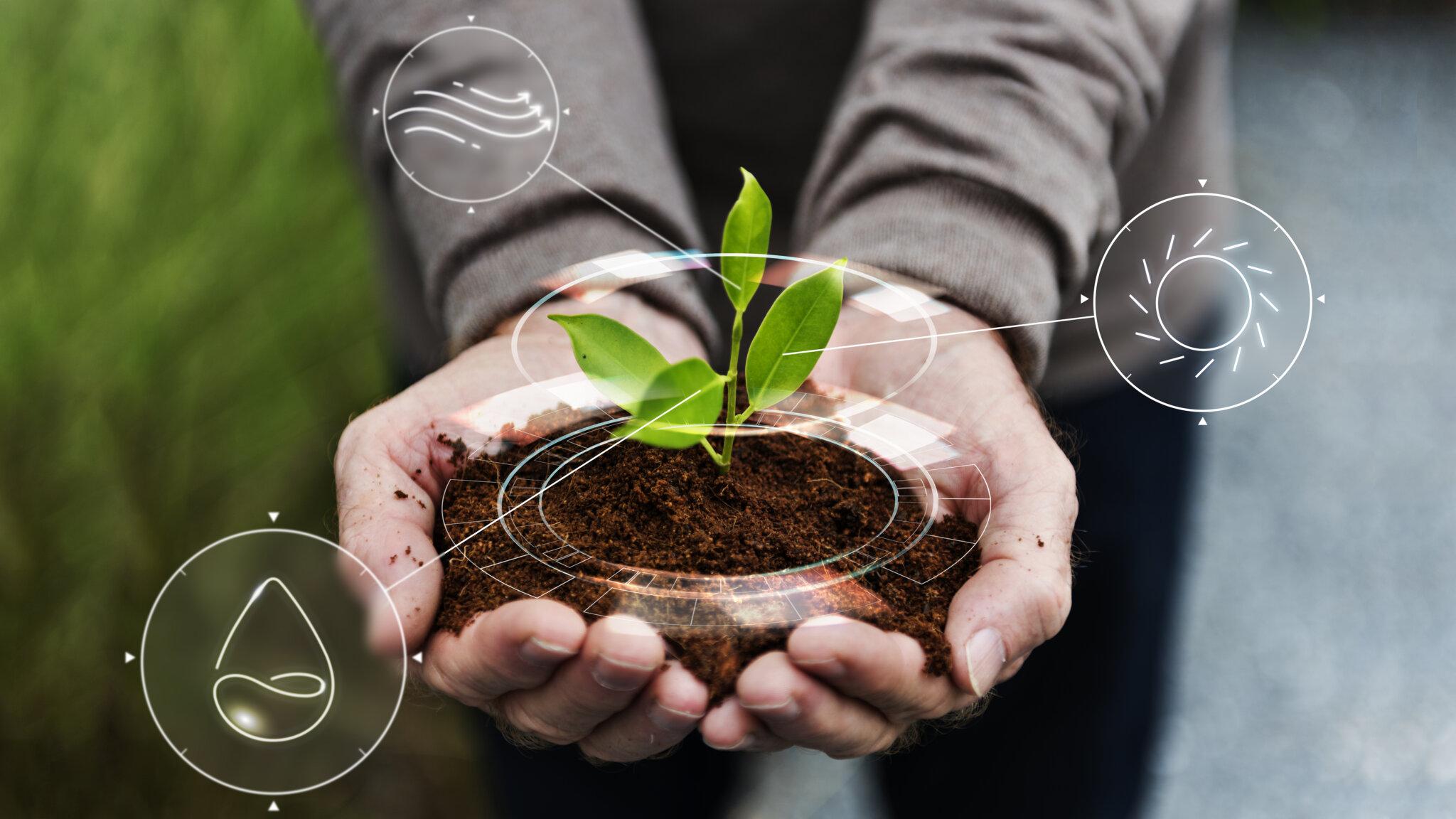 Organic Farming: Design, Plan, Layout, And Components – JeevanInfoNews.Com